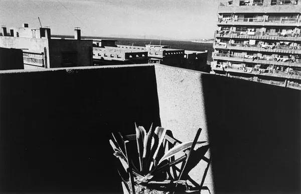 Ikko Narahara奈良原一高 | 全集 - 知乎