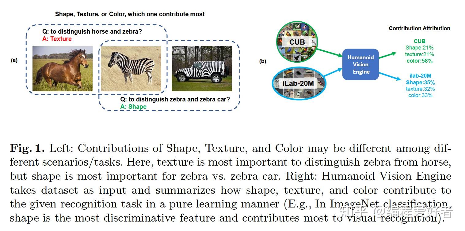 Contributions of Shape, Texture, and Color in Visual Recognition 整理 - 知乎