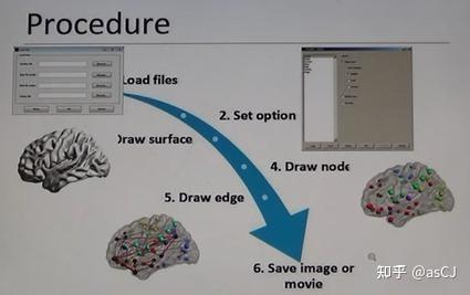 BrainNet Viewer--脑连接组可视化工具 - 知乎