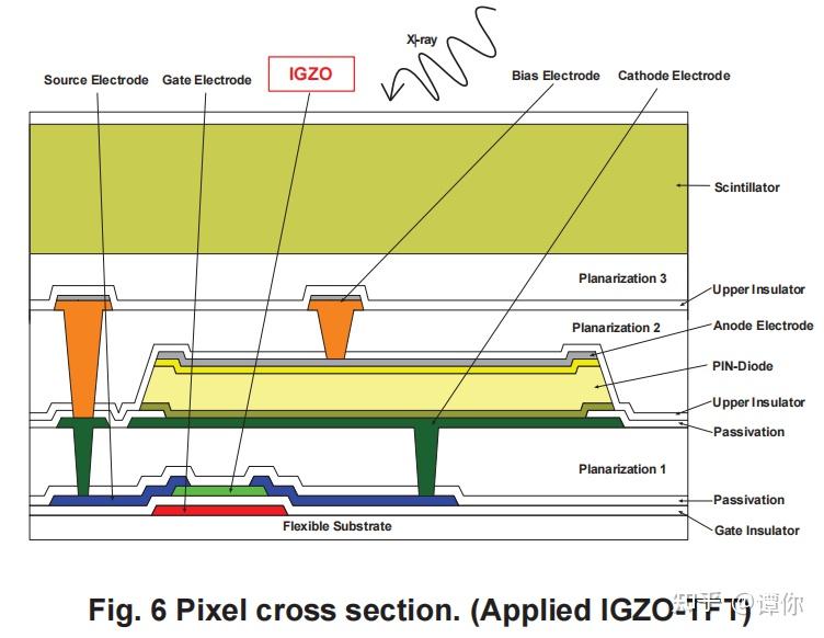 基于IGZO TFT背板技术的柔性图像x-ray探测器