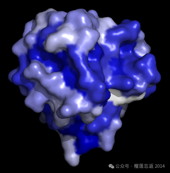 如何使用 PyMOL 绘制蛋白质疏水表面分布图！ - 知乎