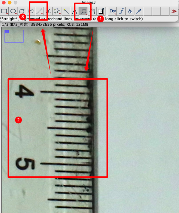 使用 ImageJ 为你的照片添加比例尺 - 知乎