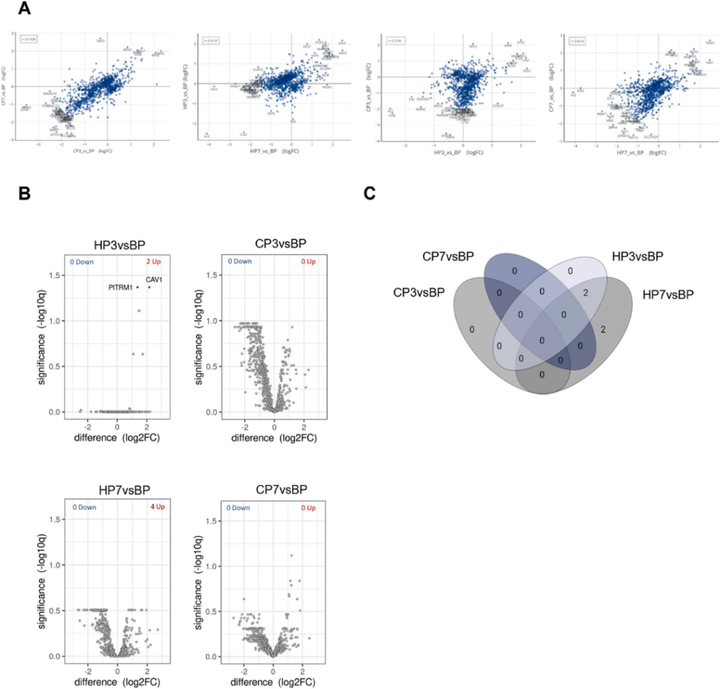作者皆通讯、三家单位联合《Bioact. Mater.》：低温保存细胞片的最佳方法 - 知乎