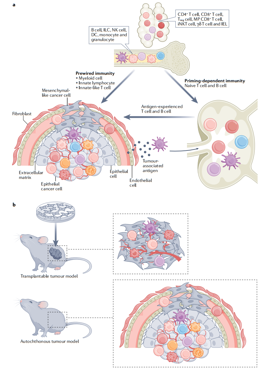Nat Rev | TGF-β控制肿瘤免疫全景图 - 知乎