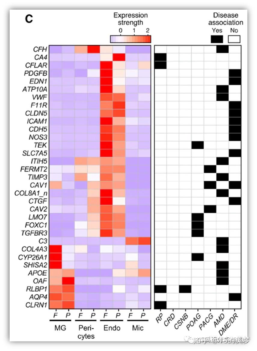 热图7：ggplot2/ComplexHeatmap做离散型热图 - 知乎