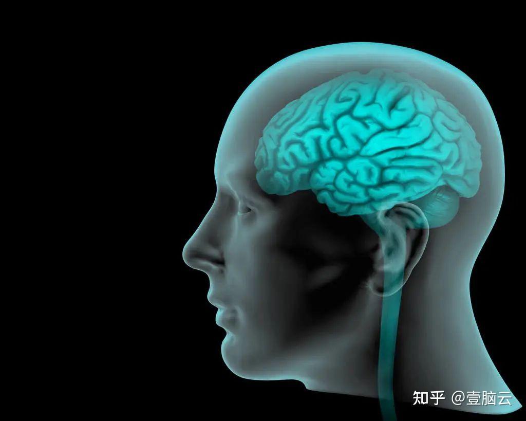 干货 | fMRI标准报告指南新鲜出炉啦，快来涨知识吧！ - 知乎