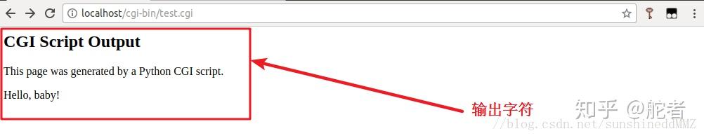WSL(ubuntu)的Apache2+CGI（包含CGICC）+SSL的配置 - 知乎