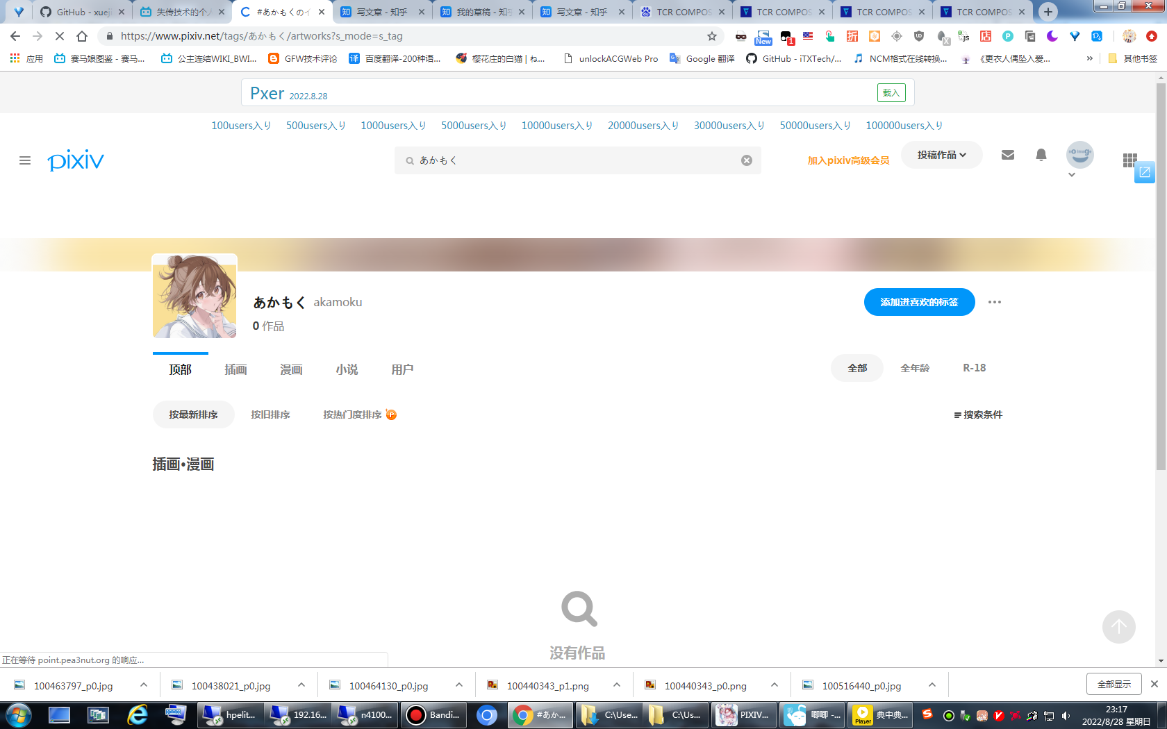 Powerful Pixiv Batch Downloader批量下载器使用教程 - 知乎