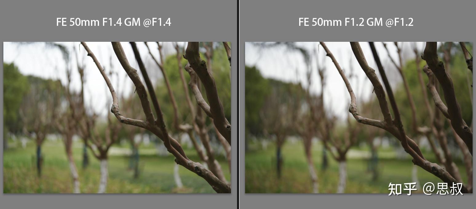 FE 50mm F1.4 GM 主观上手评测 | 实拍对比FE 50mm F1.2 GM - 知乎