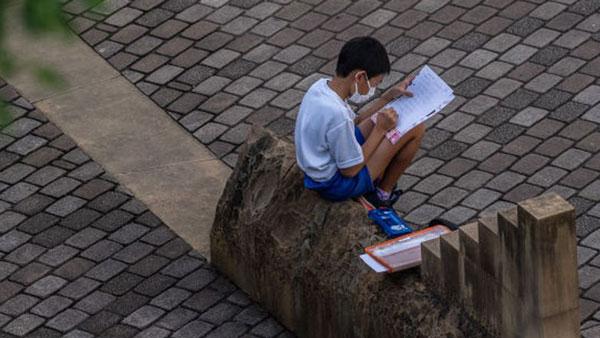 家庭作业到底有没有用？ - 知乎