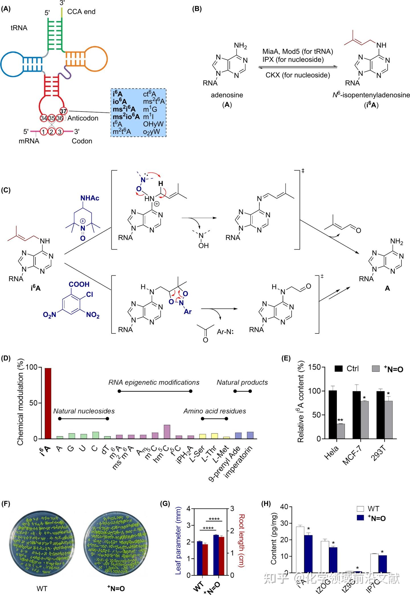中国科学院化学所程靓Acc. Chem. Res.：化学工具驱动的RNA表观修饰的调控与操纵 - 知乎