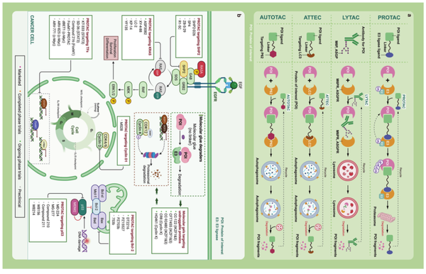 不可药性靶点的 “成药路径” - 知乎