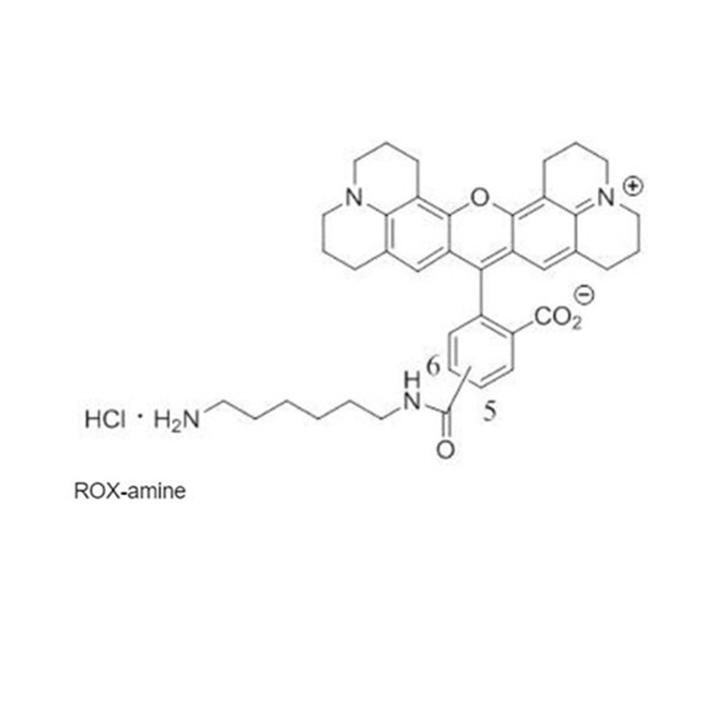 Rhodamine X amine，氨基ROX，是一种具有生物活性的荧光染料，具有优异的光学性能和稳定性，在生物学和化学等领域有广泛的应用 - 知乎