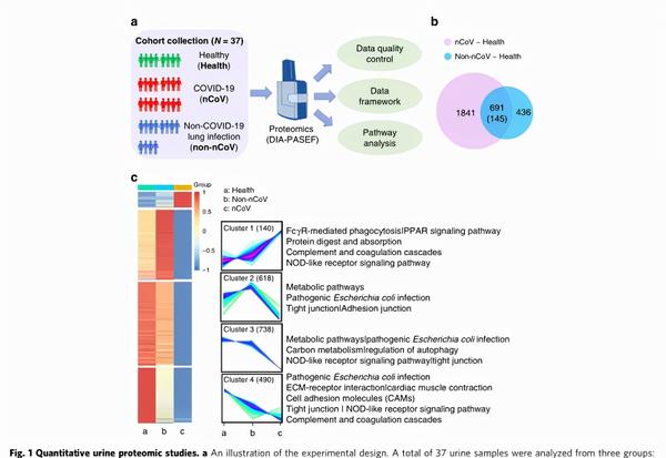 一文速览国内外顶级科学家4D蛋白质组学临床科研成果！ - 知乎