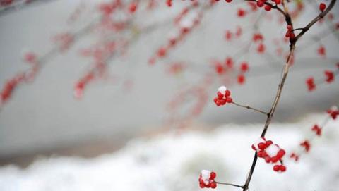 adb remount的作用是什么？在什么时候使用？ - 知乎