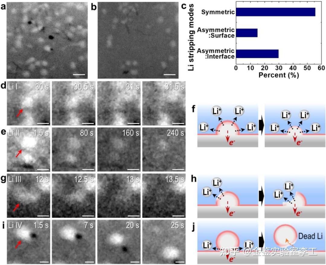 原位电化学液体电池TEM揭示锂金属剥离机制 - 知乎