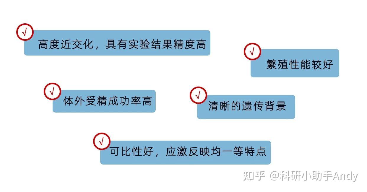 一文教你区分C57BL/6N和C57BL/6J小鼠 - 知乎