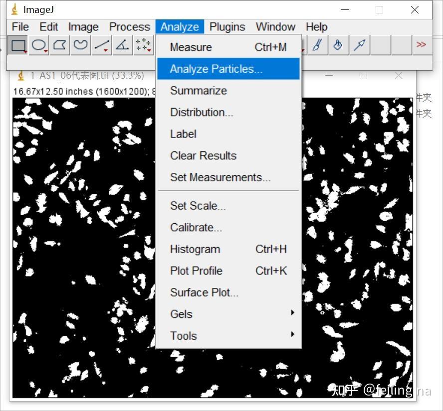 Transwell-Image J统计分析方法 - 知乎