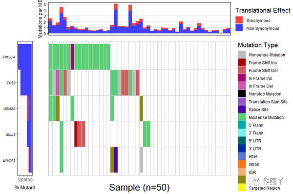 GenVisR 绘制全基因组突变景观图 - 知乎