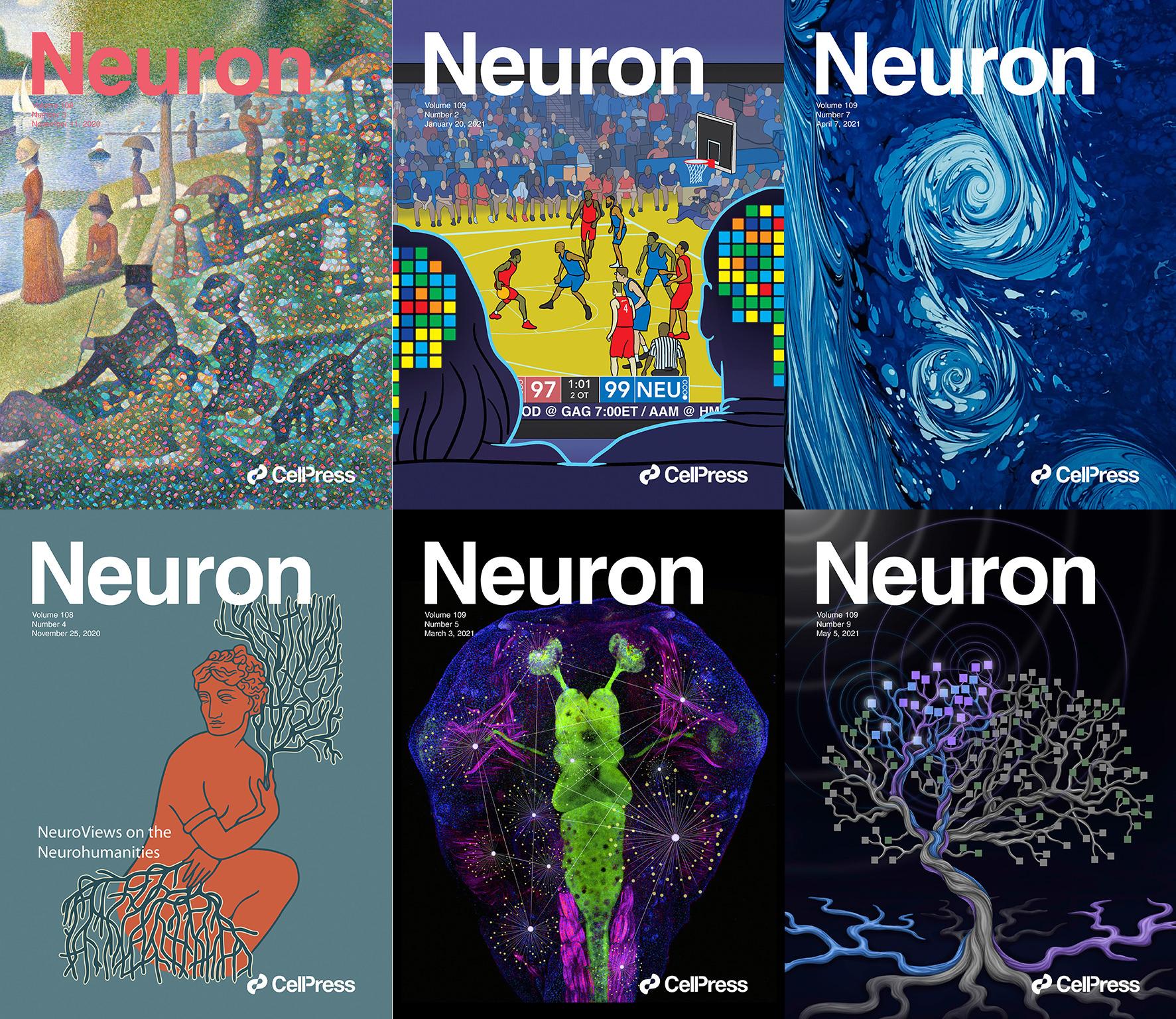 72张《Neuron》精美封面鉴赏丨2019~2021年半篇 - 知乎