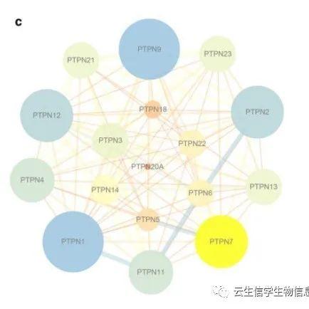 手把手教你使用Cytoscape - 知乎
