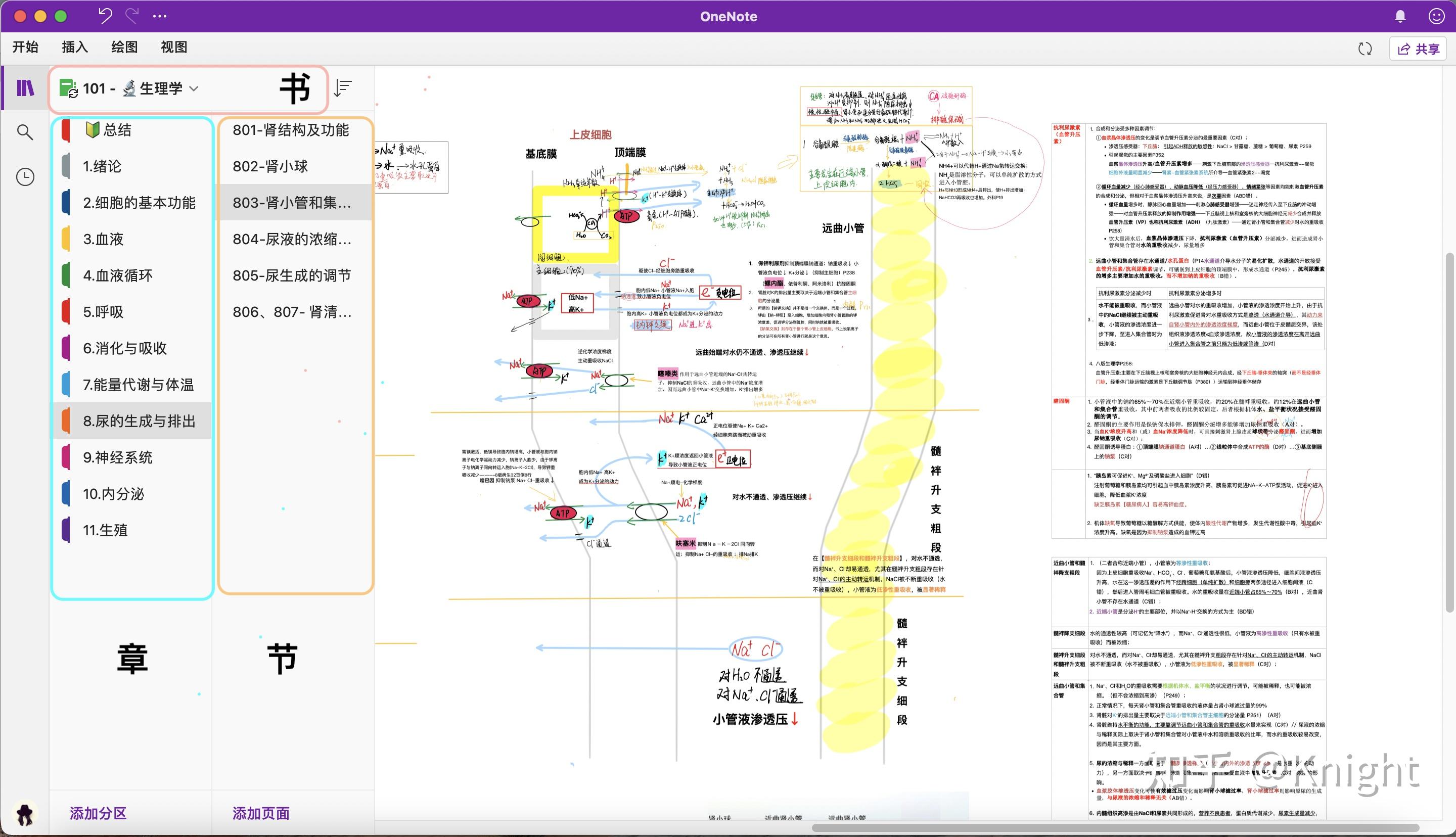 OneNote 做出来的笔记颜值能有多高？ - 知乎