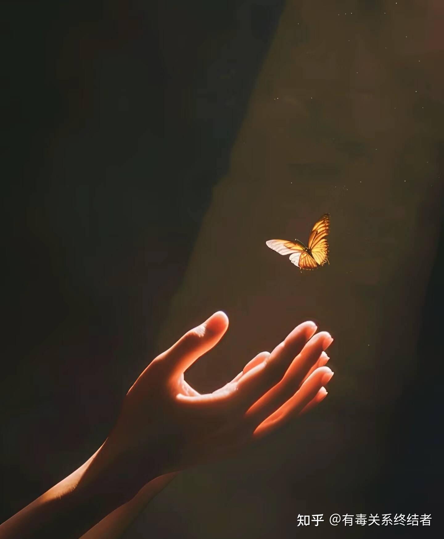 高阶bpd—npd的最大克星 - 知乎