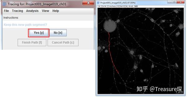 ImageJ实用技巧——Simple Neurite Tracer(插件篇) - 知乎