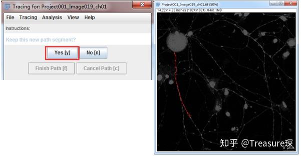 ImageJ实用技巧——Simple Neurite Tracer(插件篇) - 知乎