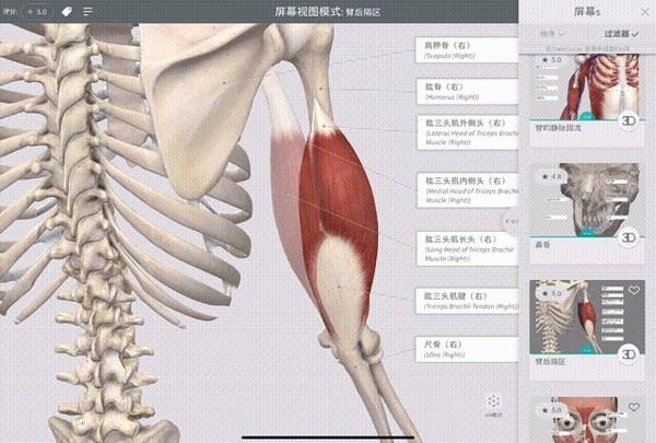 爱思唯尔旗下3D4Medical发布中文版Complete Anatomy - 知乎