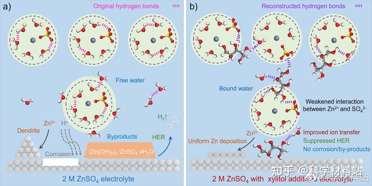 浙师大胡勇教授、谢斌斌副研究员Angew：基于氢键定向重构的木糖醇添加剂用于调控锌离子迁移和稳定锌负极 - 知乎