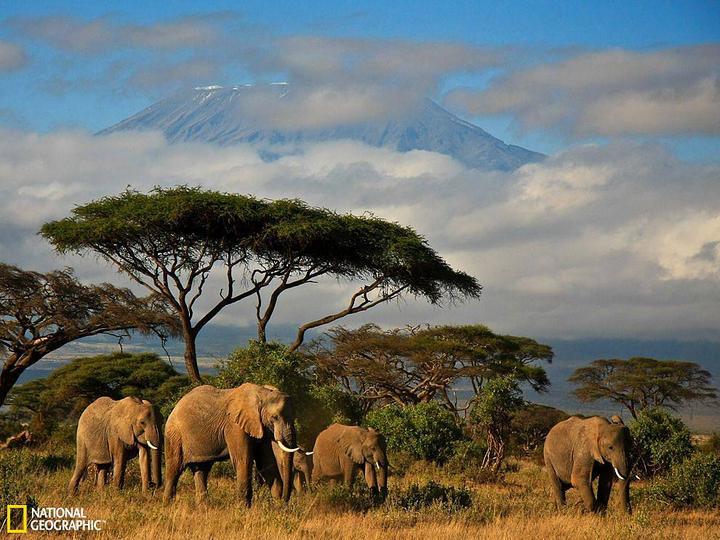 肯尼亚必去7景点 - 知乎