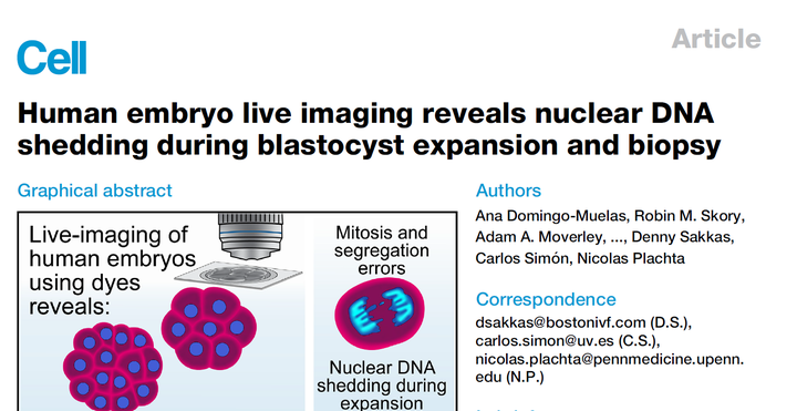 Cell：实时捕获迄今最详细的人类胚胎发育图像！！！ - 知乎