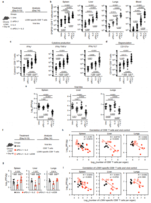 单细胞技术揭示PD-1联合IL-2治疗可改变CD8 T细胞衰竭程序 - 知乎