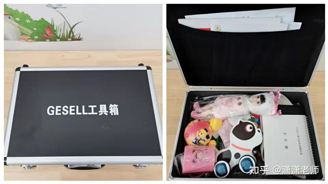 为什么要做格赛尔（Gesell）发育量表？ - 知乎