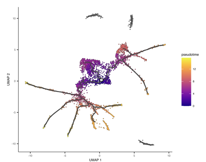 Monocle3基本流程 - 知乎