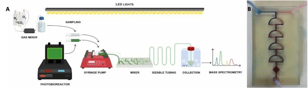 Bio-protocol | 2023年9月5日最新上线实验方案目录 - 知乎