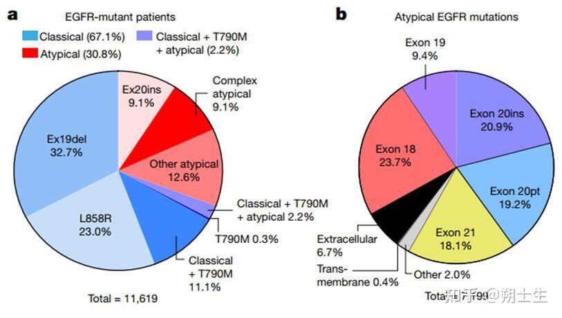 EGFR罕见变异再探究，助力临床精准用药 - 知乎