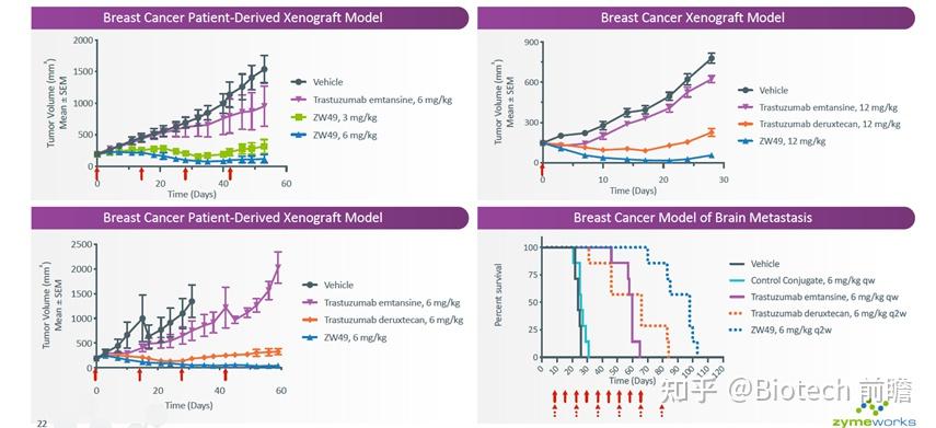 EGFR×HER3双抗ADC成功BD，HER2双抗ADC惨遭失利 - 知乎
