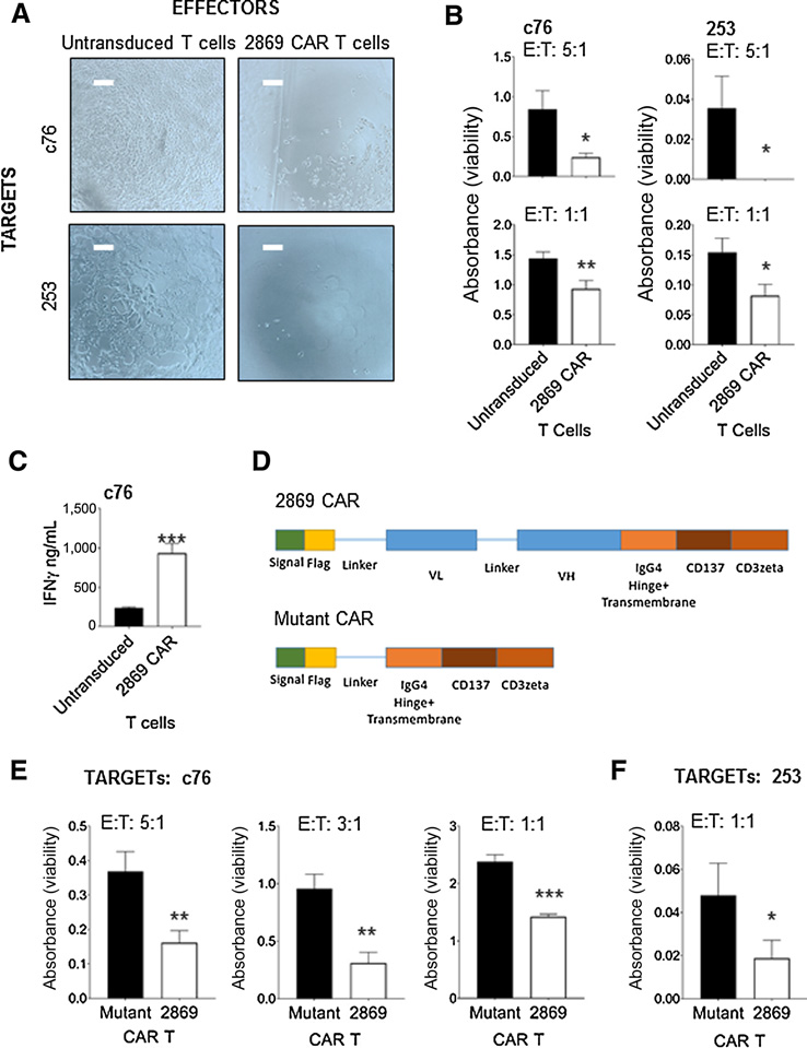 【杰论系列】胰腺癌CAR-T安全疗法的新靶点——CEACAM7-迈杰转化医学