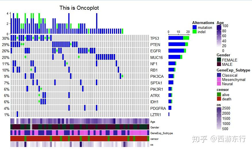 ComplexHeatmap|根据excel表绘制突变景观图（oncoplot） - 知乎