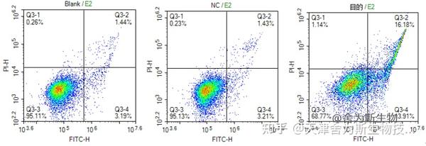 sws干货分享| CCK8药物筛选实验方法及要点分享 - 知乎