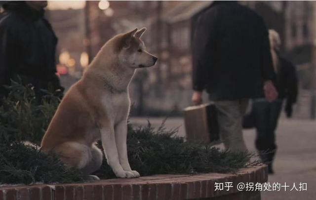 不爱,请别伤害 知乎