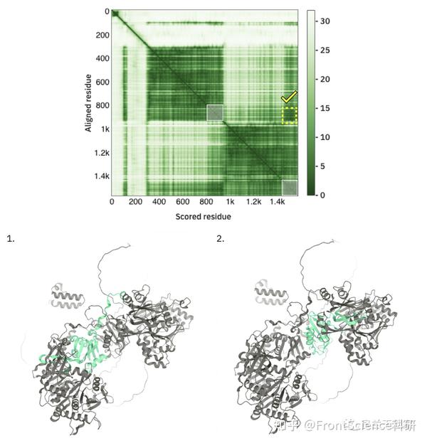 AlphaFold蛋白质结构数据库的简介 - 知乎