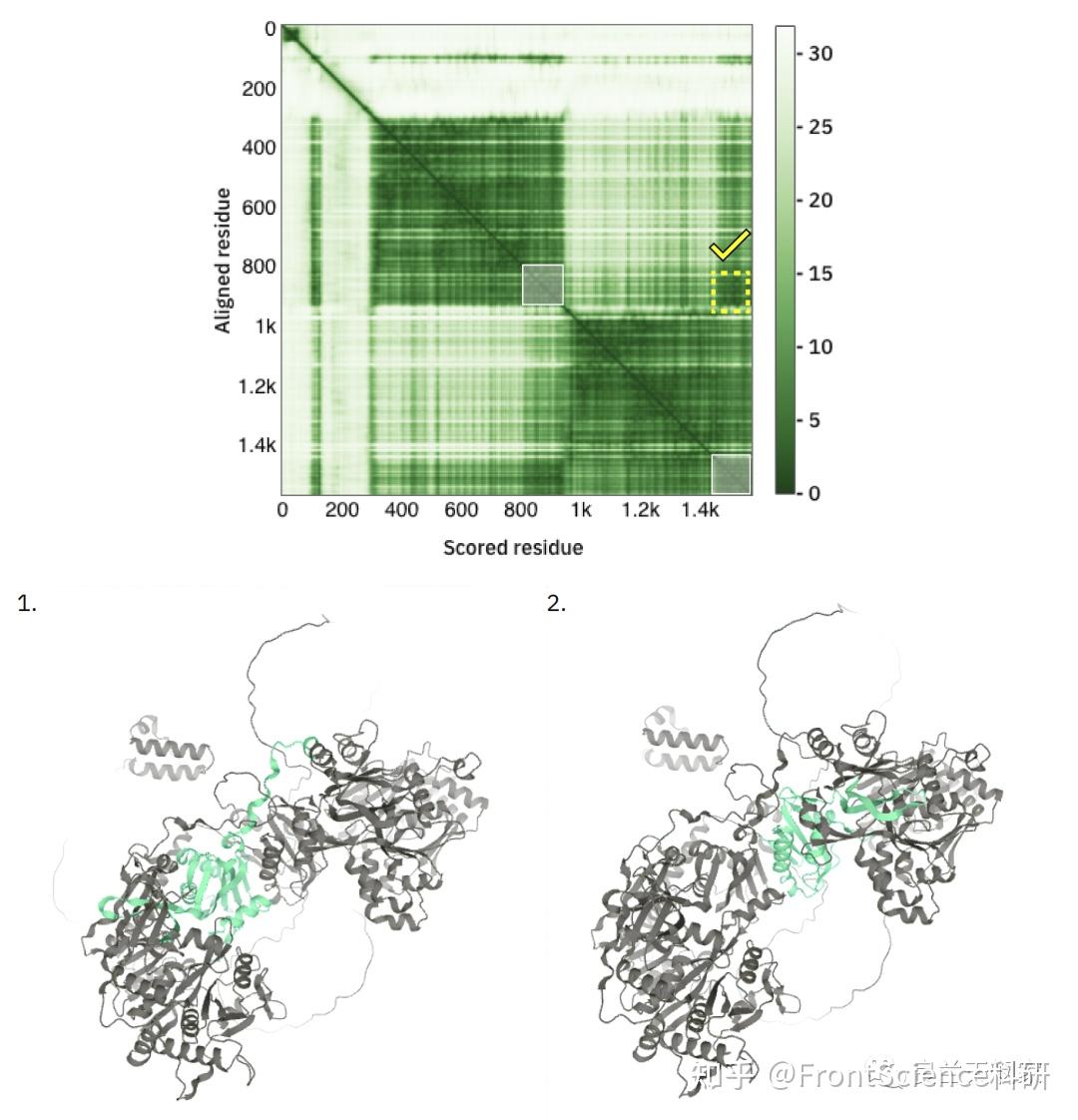 AlphaFold蛋白质结构数据库的简介 - 知乎