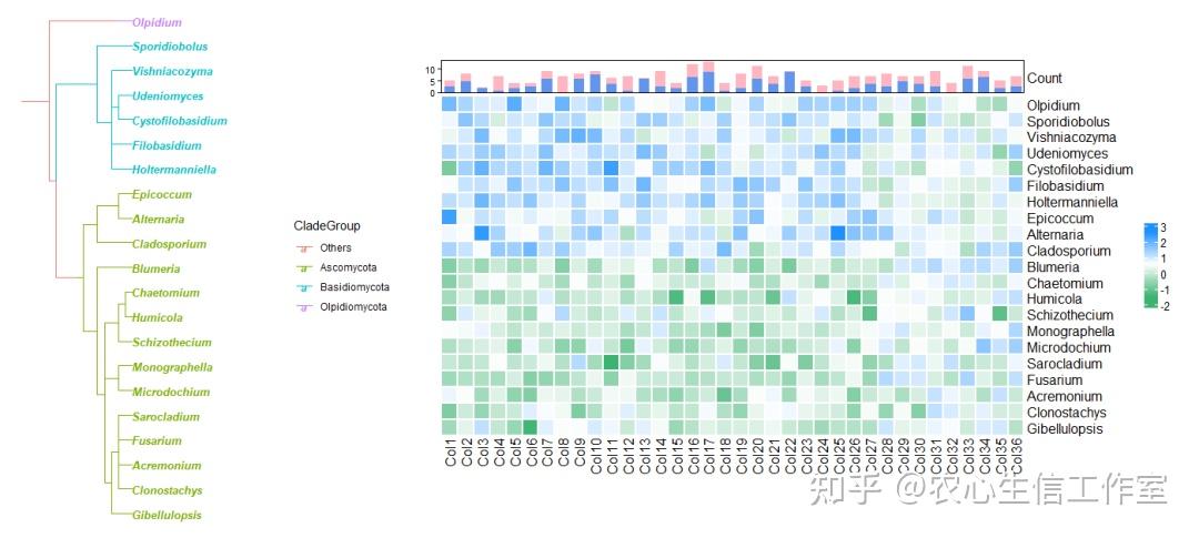 跟着Microbiome学做图｜利用ComplexHeatmap和taxtree包完成物种进化树+复杂热图的组合 - 知乎