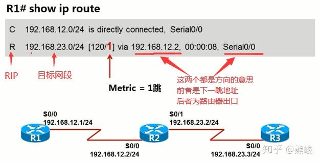 网络知识复习—动态路由协议-RIP（距离矢量路由协议） - 知乎