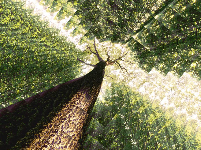 绿色标准: RICS可持续性报告解读 - 知乎