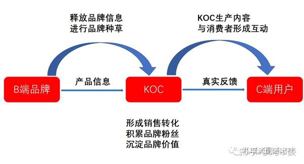 私域运营中KOT、KOL、KOC理解 - 知乎
