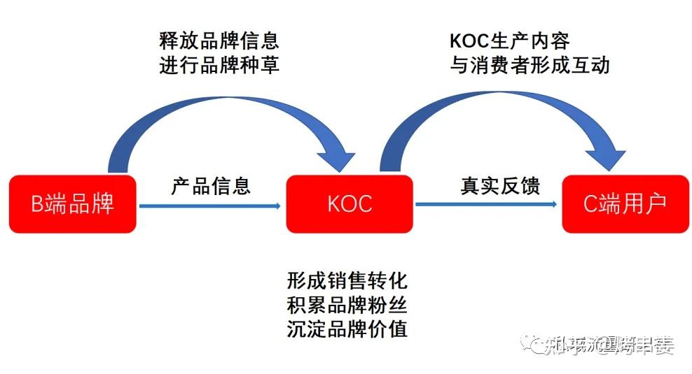 运营人员常说的KOL、KOC你真懂了吗？ - 知乎